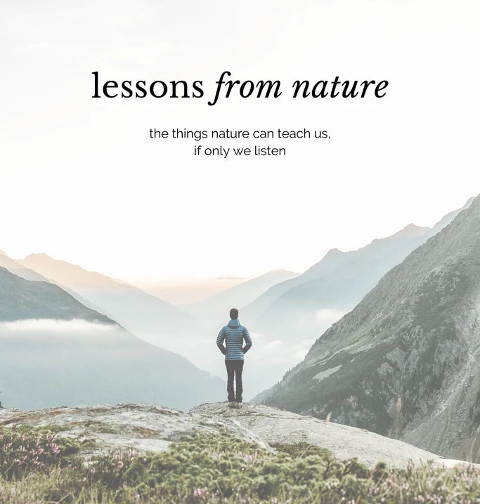 5 Superb Lessons from Nature - Motivation, Success, Entrepreneurship ...